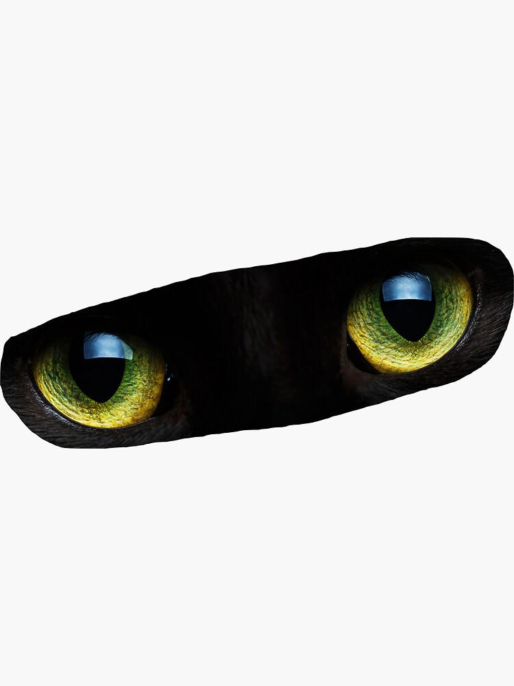 "Cat eyes" Sticker for Sale by Zip-Zup | Redbubble