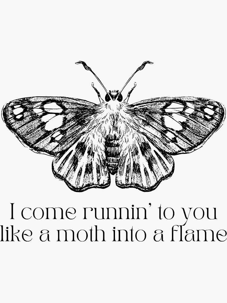 "Defenceless Lyric" Sticker for Sale by LKfandomdesigns | Redbubble