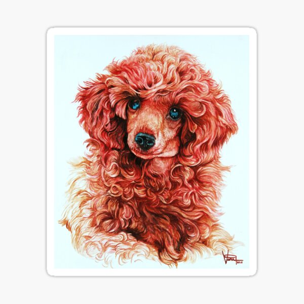 "Red Toy Poodle" Sticker for Sale by VeriArt | Redbubble