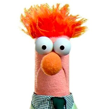 Ridiculous New Year's Eve VANITY: Who was your favorite Muppet?