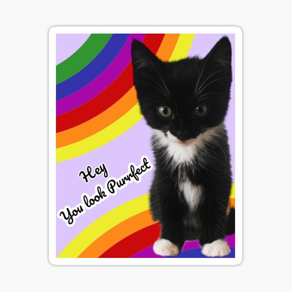 "Your Purrfect.... Cat quote" Sticker for Sale by N8tureM8 | Redbubble