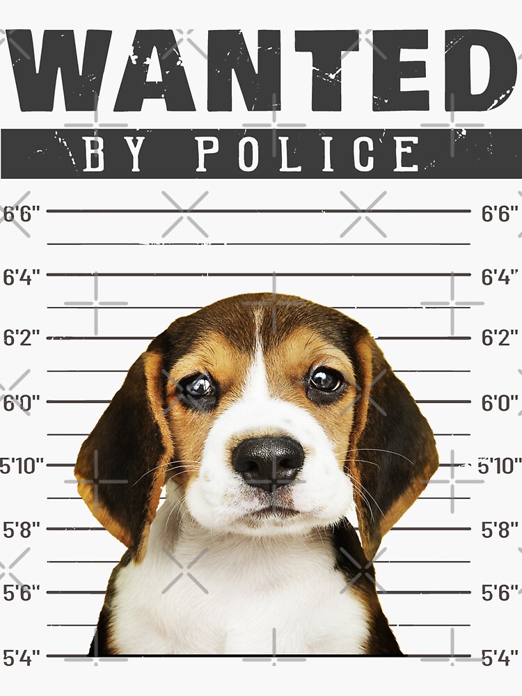 " Beware of The Dog Wanted By Police" Sticker for Sale by OUMHIL ...