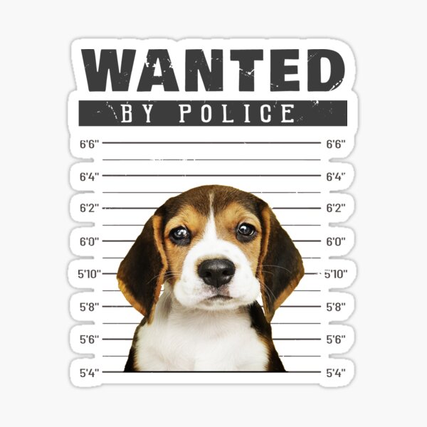 " Beware of The Dog Wanted By Police" Sticker for Sale by OUMHIL ...