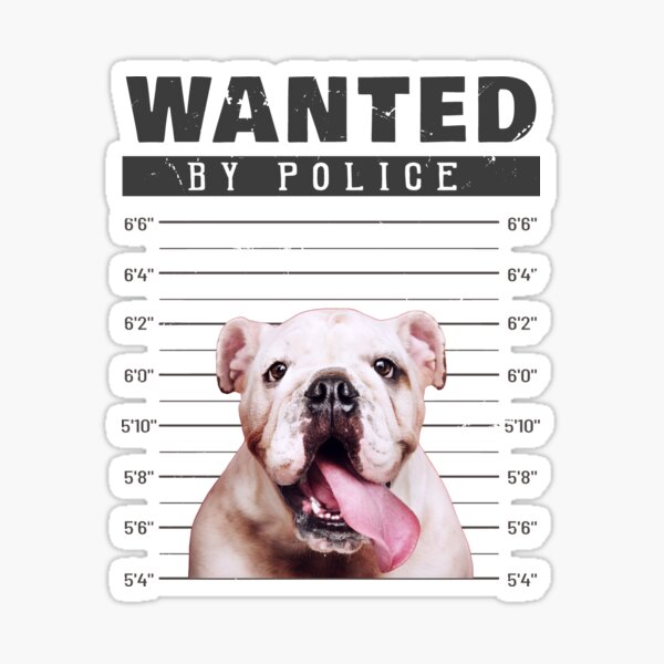 "Beware of The Dog Wanted By Police 100 000$" Sticker for Sale by ...