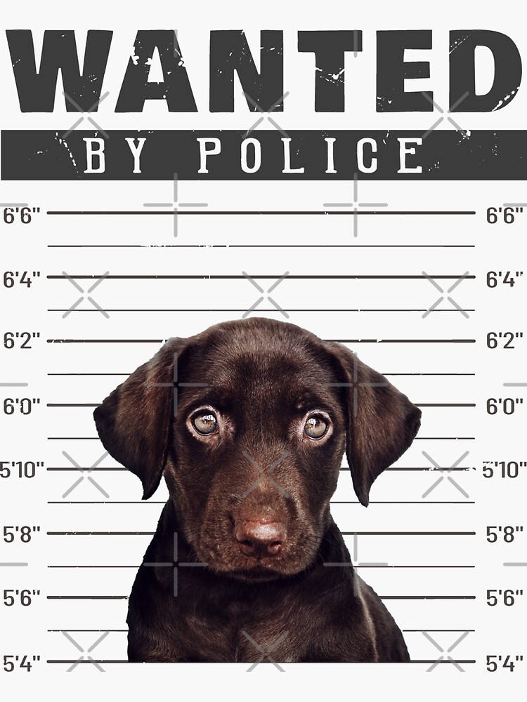 "Beware of The Dog Wanted By Police 1000 000$" Sticker for Sale by ...