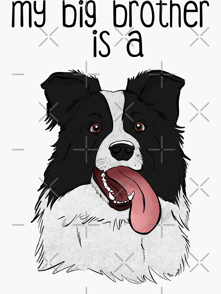 "My Big Brother is a Border Collie " Sticker for Sale by rmcbuckeye ...