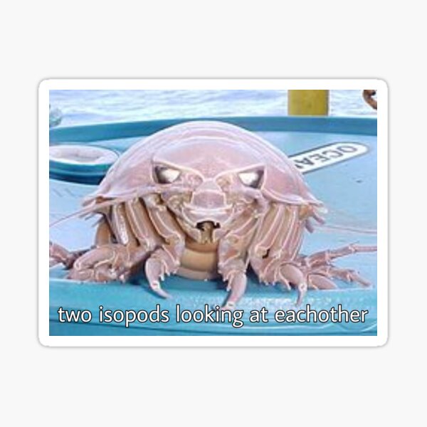 "2 isopods looking at eachother, isopod merch " Sticker for Sale by ...