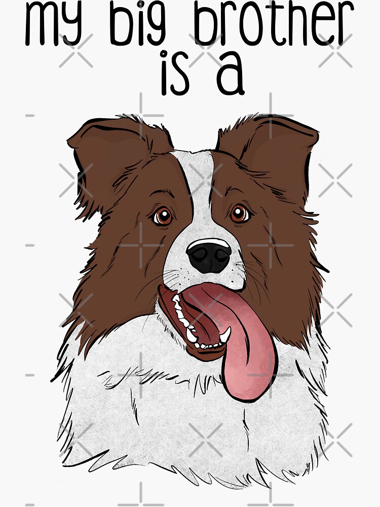 "My Big Brother is a Border Collie I" Sticker for Sale by rmcbuckeye ...