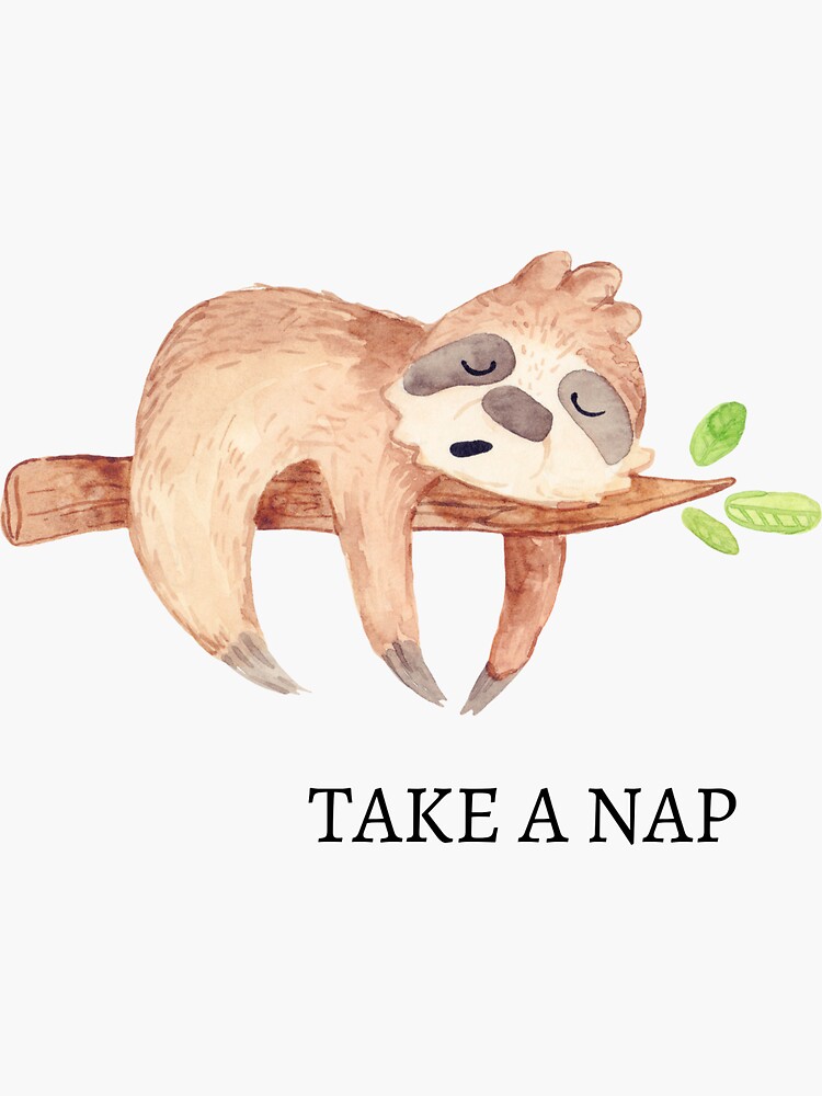 "Take A Nap Sloth Design" Sticker for Sale by Berry-Fairy | Redbubble