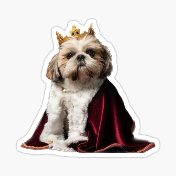 "King Harold Sticker" Sticker for Sale by drmbecker2 | Redbubble