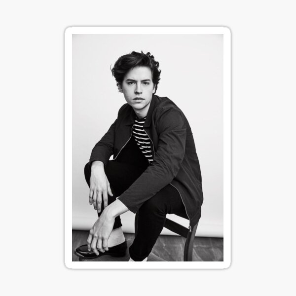 "Cole Sprouse " Sticker for Sale by HollieWorley | Redbubble