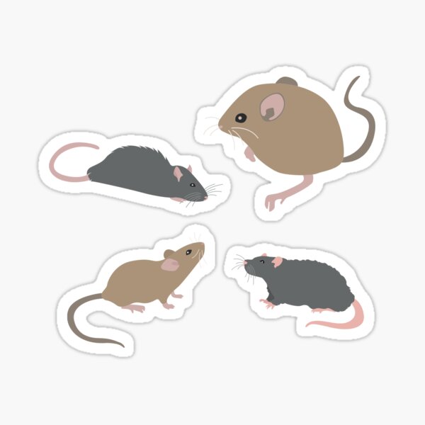"Rats" Sticker for Sale by SelenaJ | Redbubble