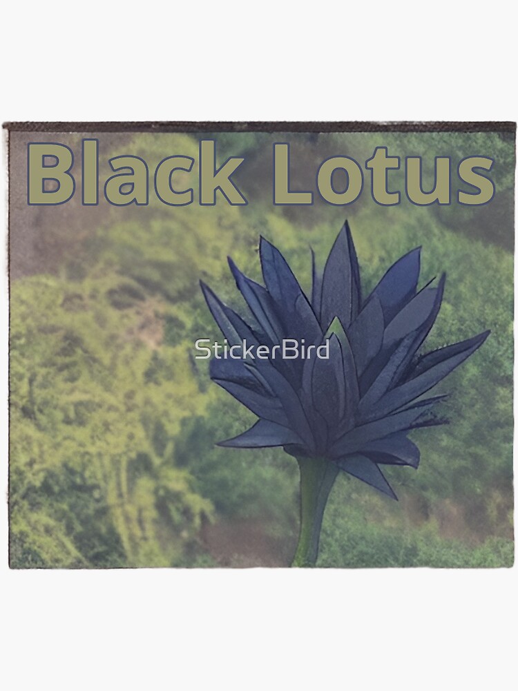 "Black Lotus Sticker Design Illustration" Sticker for Sale by ...