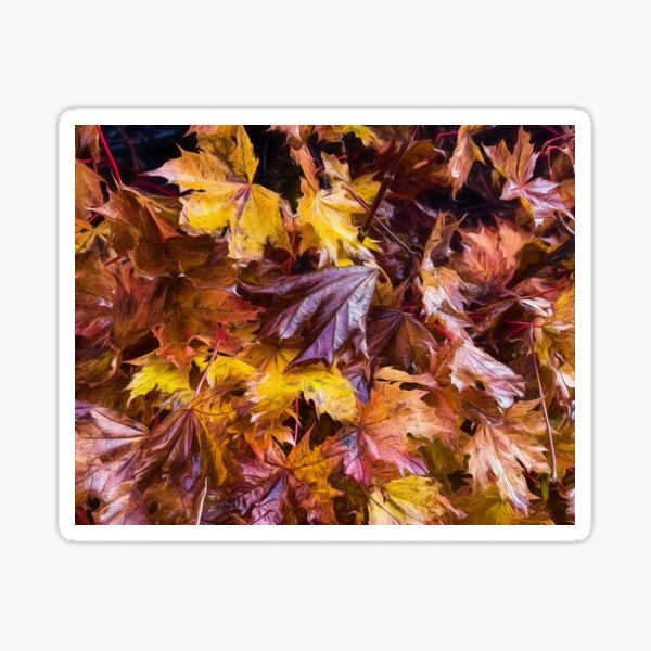 "Magic Carpet" Sticker for Sale by Bassbro | Redbubble