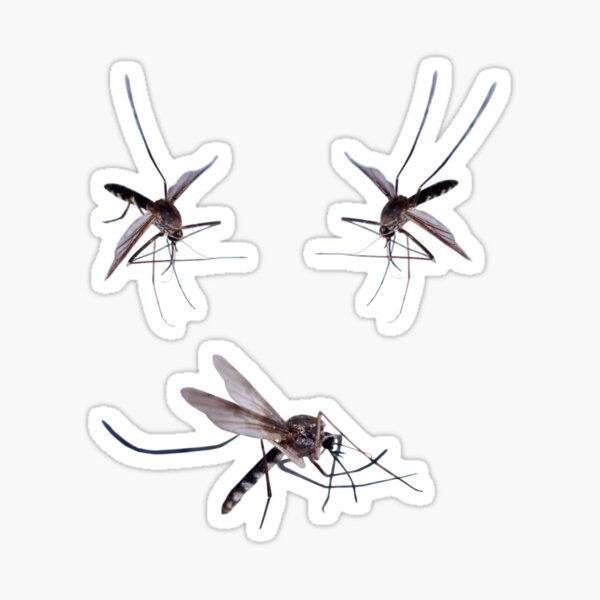 "Mosquitoes" Sticker for Sale by Zip-Zup | Redbubble