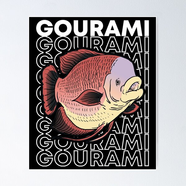 "Giant Gourami Fish 80's Monster Fish" Poster for Sale by JRRTs | Redbubble