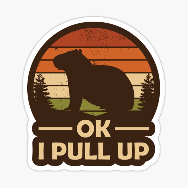 "Retro Capybara Ok I Pull Up" Sticker for Sale by Slapit | Redbubble
