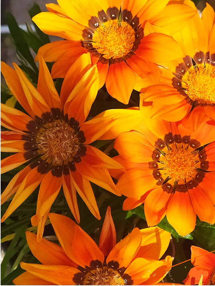 "Cvece neven" Sticker for Sale by Lidijana | Redbubble