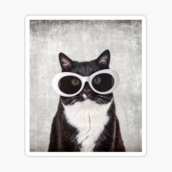 "Super Cool Cat in Glasses" Sticker for Sale by fluffyPawpet | Redbubble