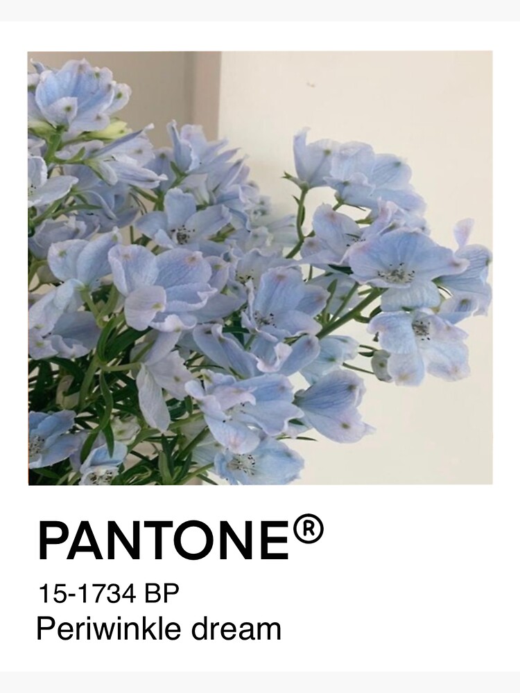 "Pantone periwinkle dream" Sticker for Sale by WildLilyDesigns | Redbubble