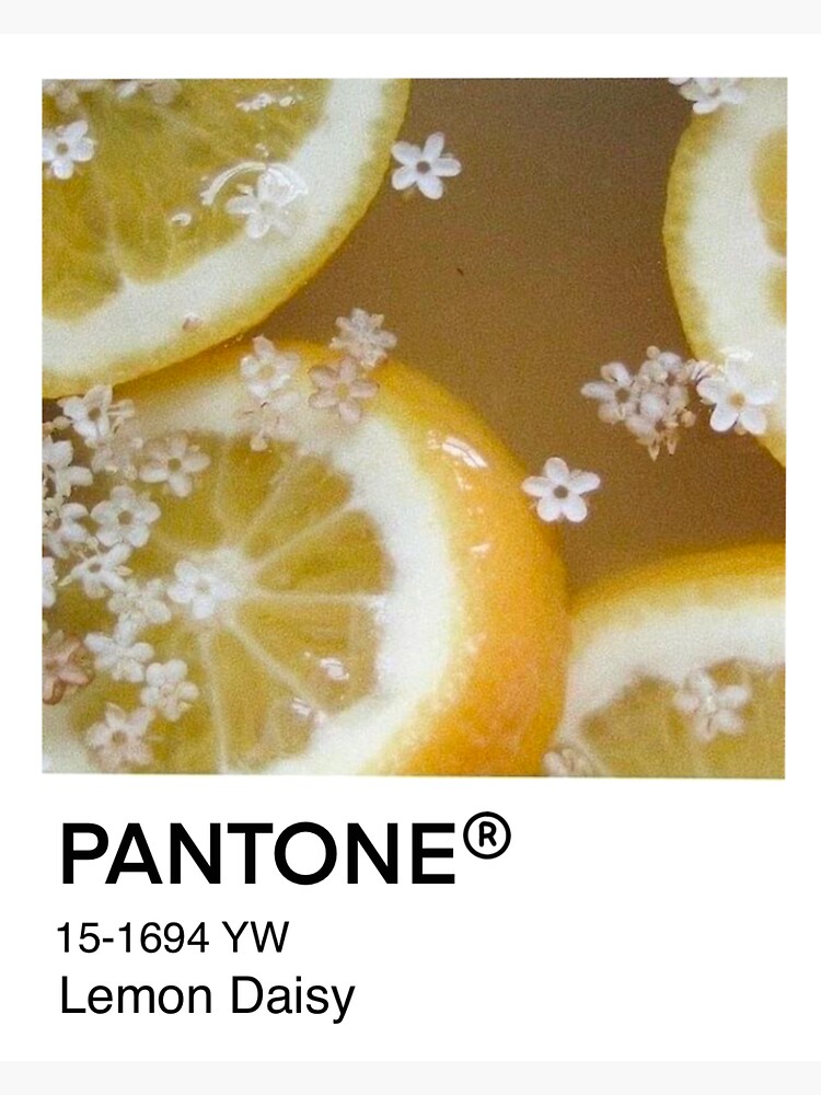 "Pantone Lemon Daisy" Sticker for Sale by WildLilyDesigns | Redbubble