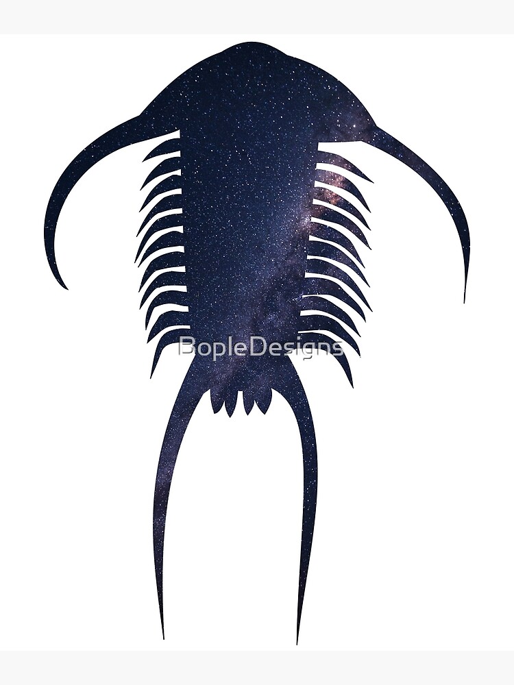 "Glowing Milky Way On Dark Sky Trilobite | Cute Trilobite" Poster for ...