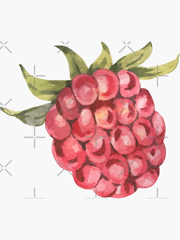 "Raspberry" Sticker for Sale by NoNameArt | Redbubble