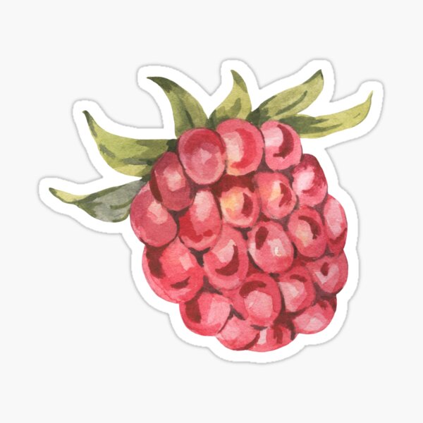 "Raspberry" Sticker for Sale by NoNameArt | Redbubble