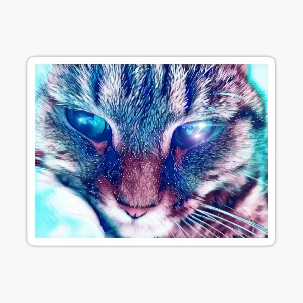 "Stardust cat" Sticker for Sale by NapuhanaPapuca | Redbubble
