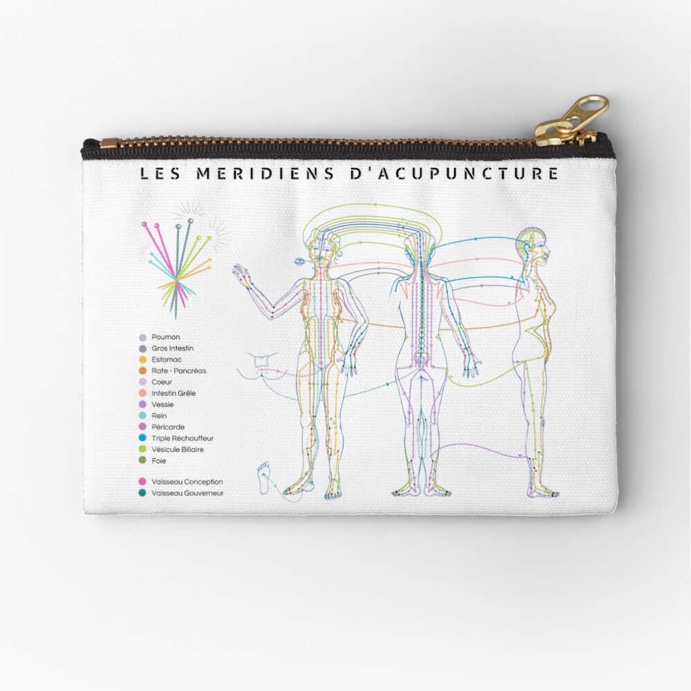"Poster Acupuncture meridians: Chinese medicine meridian map" Poster by ...