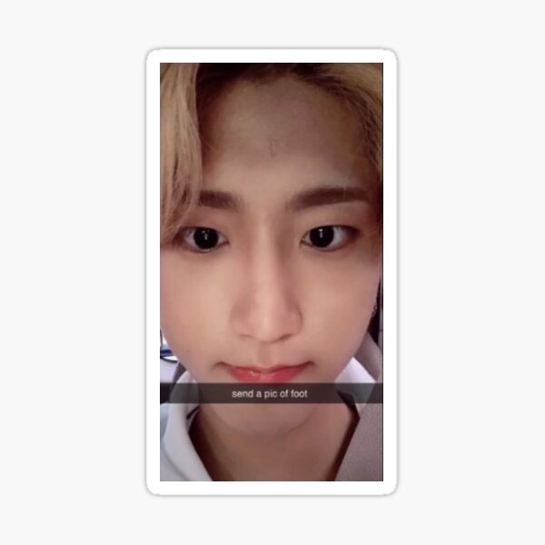 "Stray Kids Han Jisung meme" Sticker for Sale by edaoflorien | Redbubble