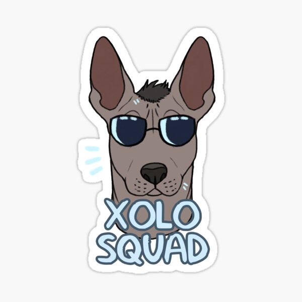 "XOLO SQUAD" Sticker for Sale by mexicanine | Redbubble