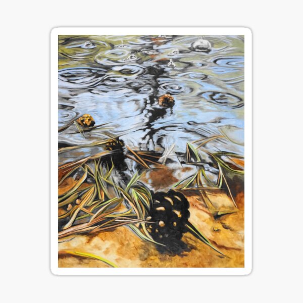 "Pine Cone Puddle" Sticker for Sale by Kristyhawkes | Redbubble