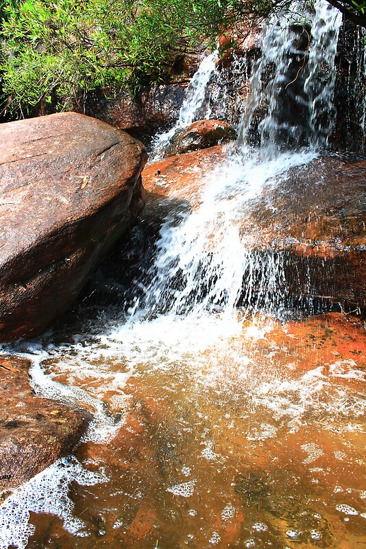 "Waterfall at America Bay track, Ku-ring-gai Chase National Park" by ...