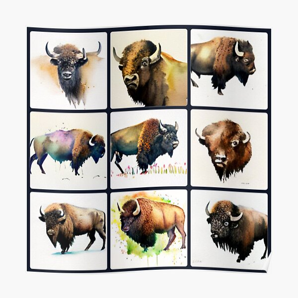 "Bison art" Poster for Sale by CinderPress | Redbubble