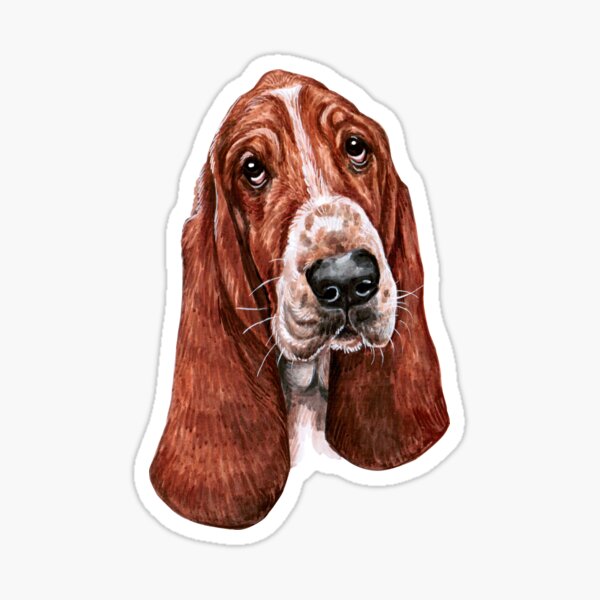 "Bassel Hound - Dog Sticker" Sticker for Sale by sanahuynh | Redbubble
