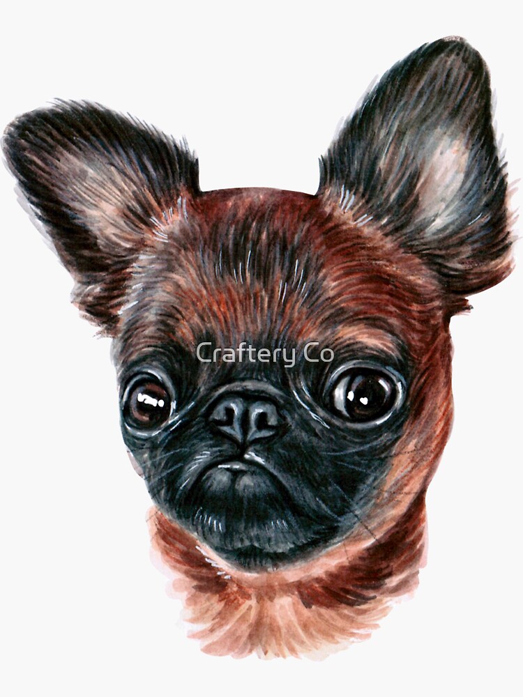 "Brussels Griffon - Dog Sticker" Sticker for Sale by sanahuynh | Redbubble