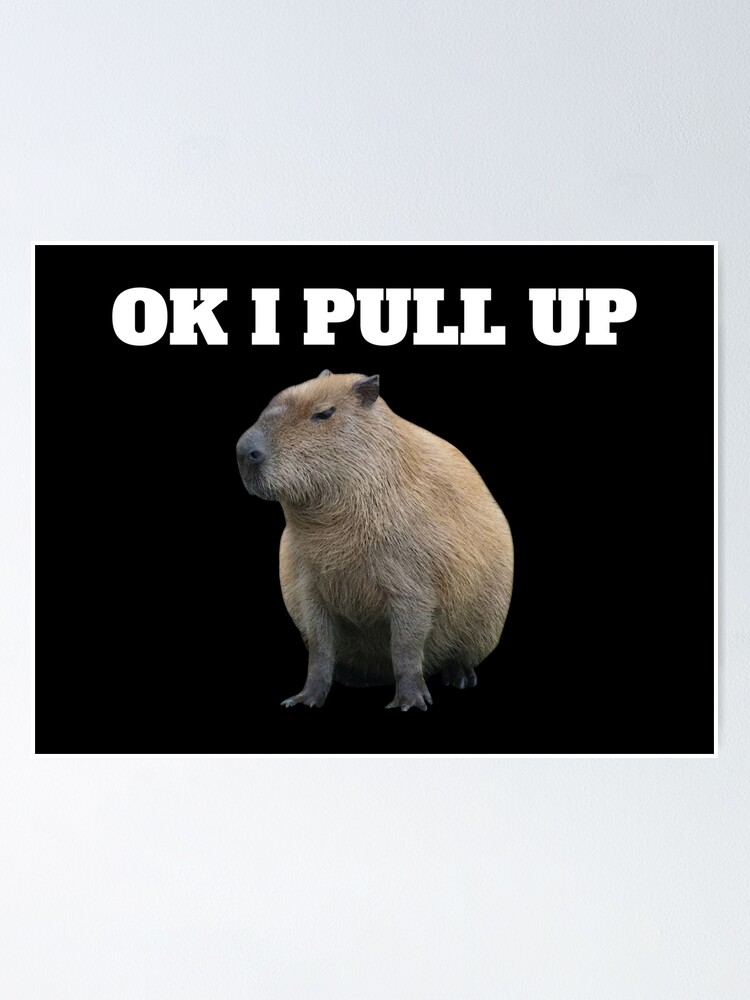 "Ok I Pull Up Capybara" Poster for Sale by Slapit | Redbubble