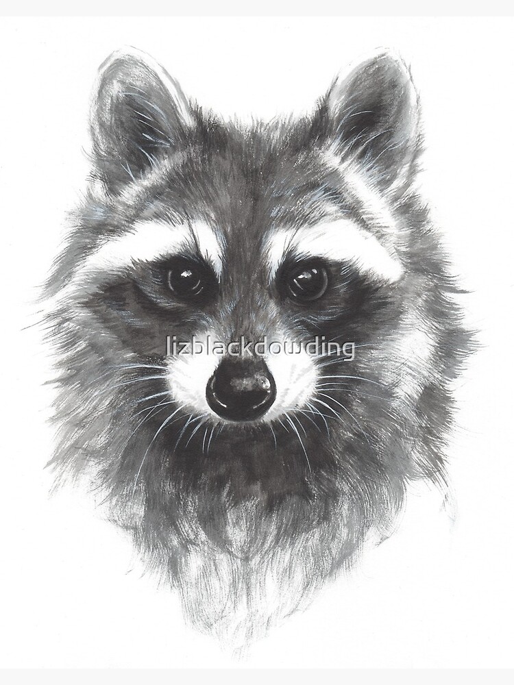 "Rocket Racoon - Cheeky Raccoon" Art Print for Sale by lizblackdowding ...