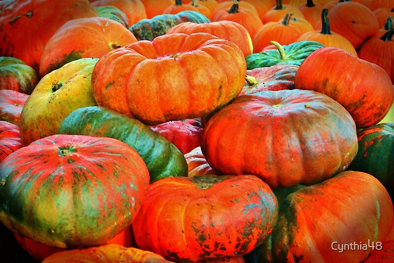 "Heirloom Pumpkins" by Cynthia48 | Redbubble