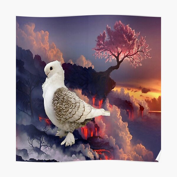 "Turbit Pigeon in Beautiful Backround" Poster by Sermani | Redbubble