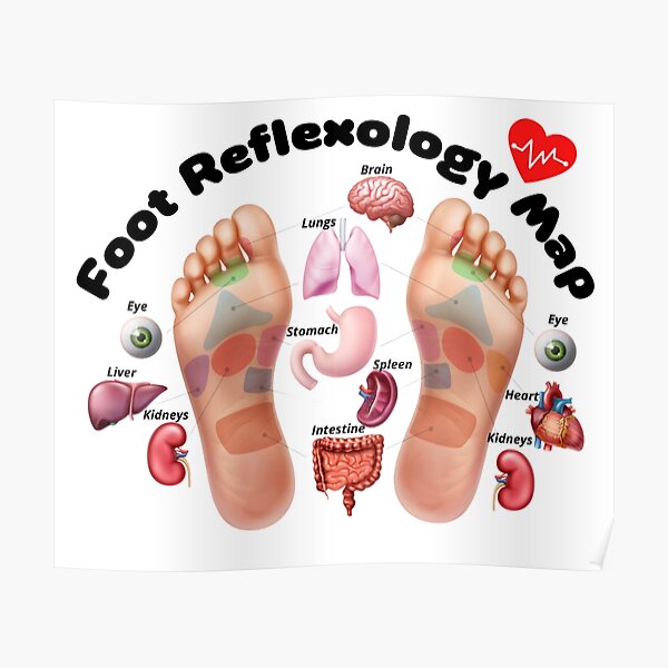 "Foot Reflexology Map" Poster for Sale by BestDesignerCat | Redbubble