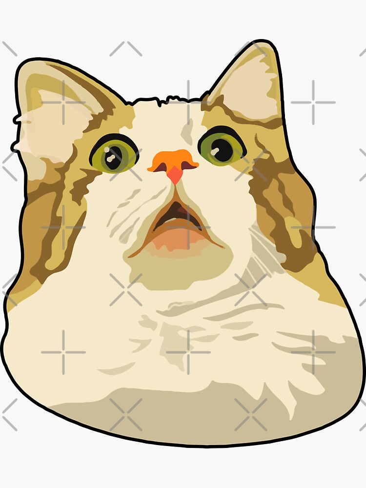 Pegatina «Meme de gato sorprendido, imágenes de gato maldito» de ...