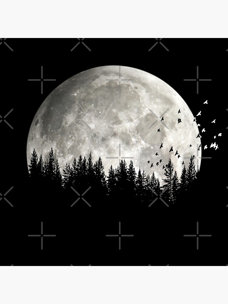 "Trees Are The Cure - Full Moon in front of Pine Tree Forest Silhouette ...