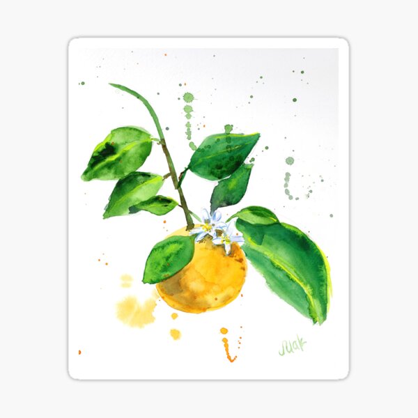 "Tangerine Blossom Watercolor Print" Sticker for Sale by NatalyMak ...