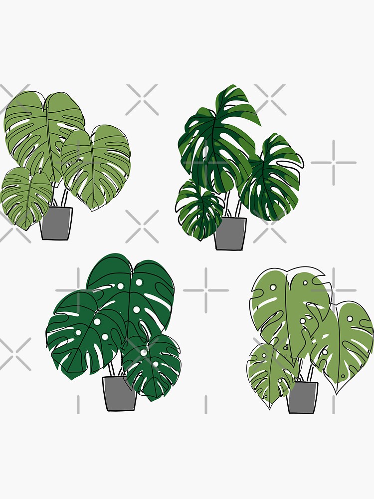 "Monstera plant Pack Sticker" Sticker for Sale by wirka | Redbubble