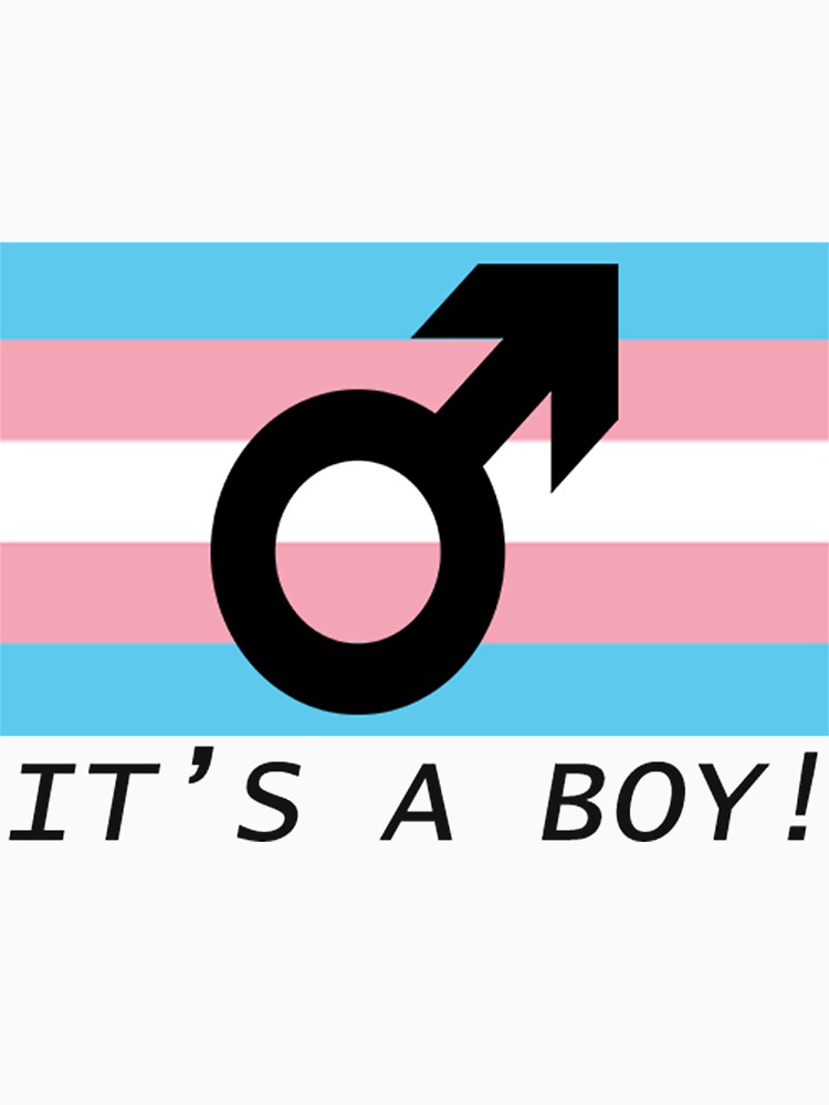 ""It's a boy!" Transmasculine Pride" T-shirt for Sale by theShyDog ...