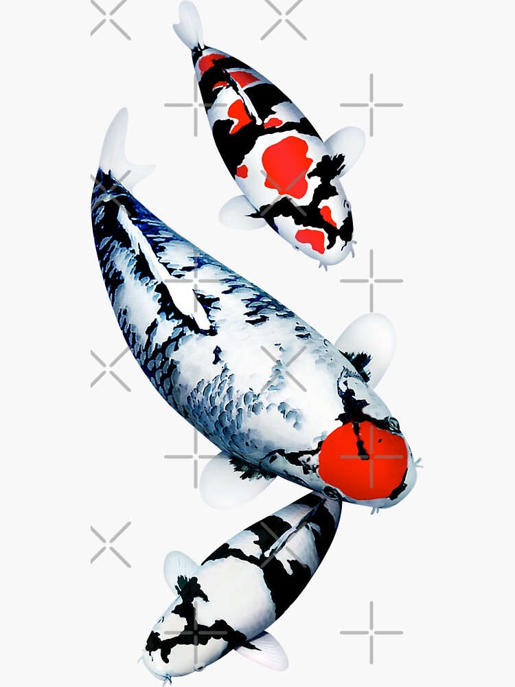 "Japanese Koi Fish" Sticker for Sale by FishProduct | Redbubble