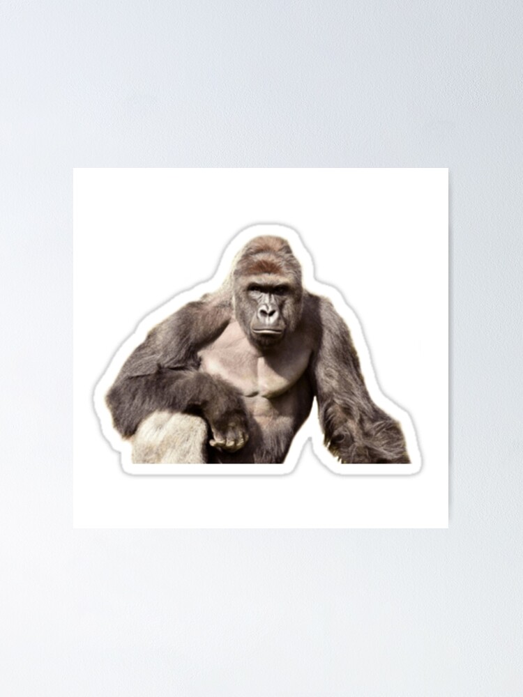 "Harambe meme" Poster for Sale by jamcaYT | Redbubble