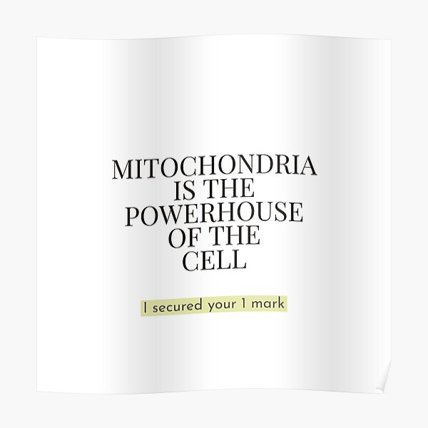 "Mitochondria is the powerhouse of the cell funny Science STEM Pun ...